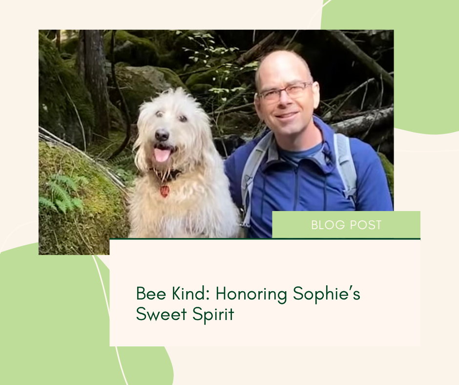 Bee Kind: Honoring Sophie’s Sweet Spirit