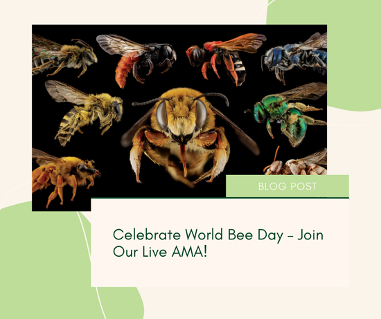 Celebrate World Bee Day – Watch Our Live AMA!