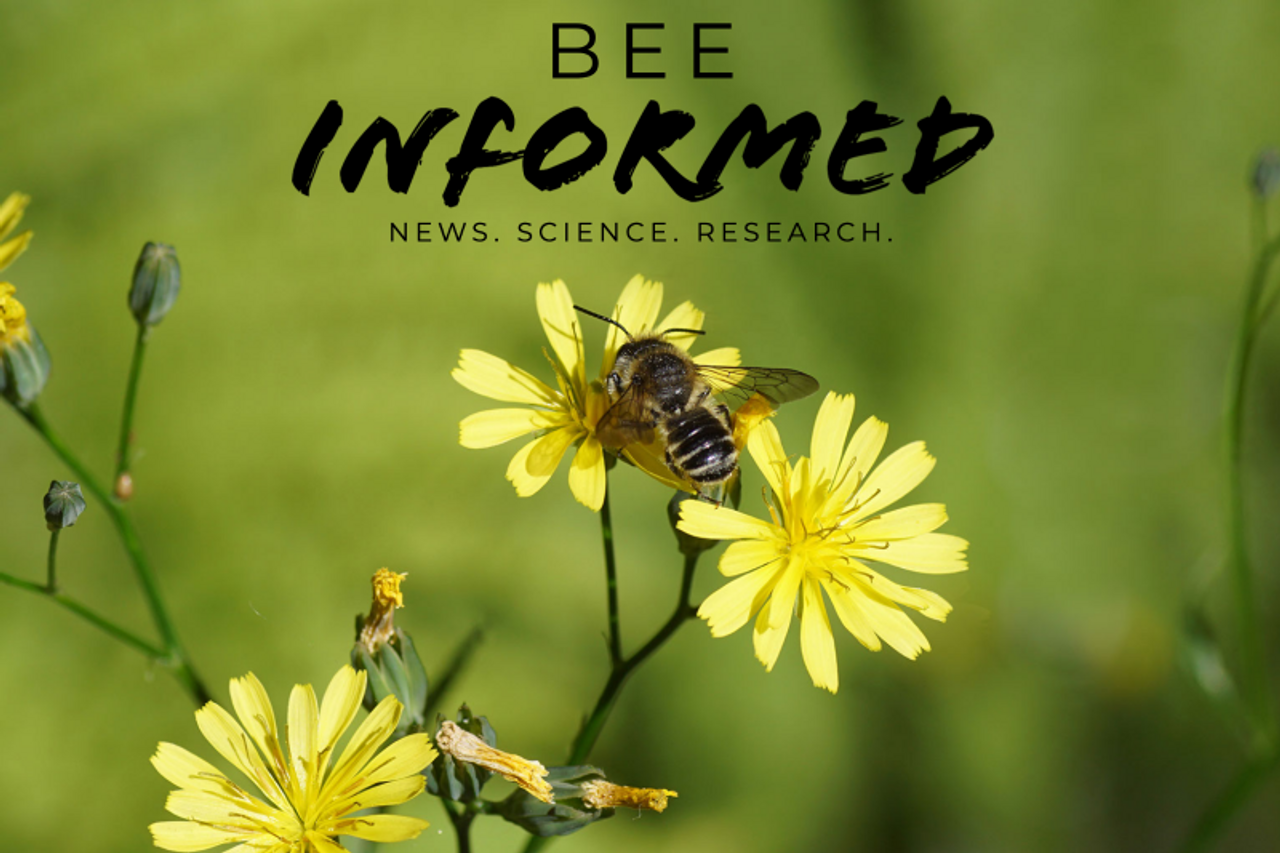 Bee Informed: The Collapse of Insects, Winter Pollinator Habitat, Habi