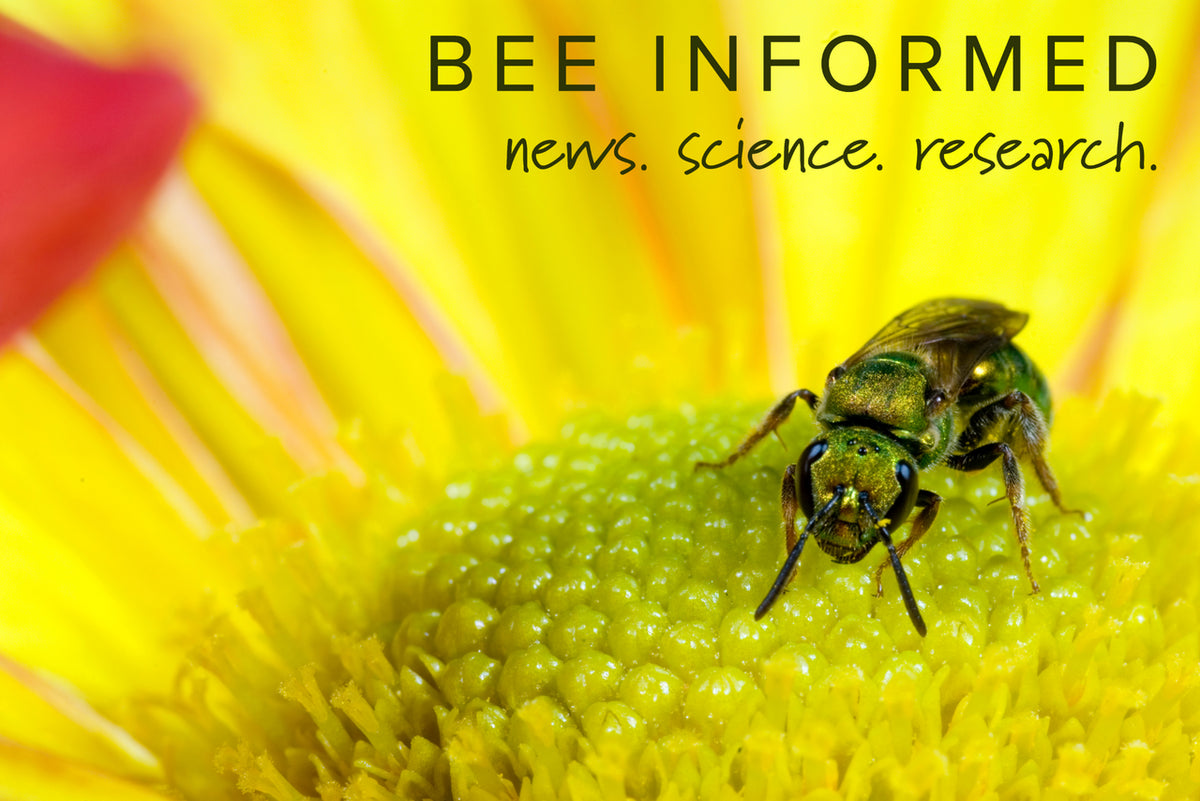 Bee Informed: Eliminating the Varroa Mite, Native Grasses to Revitaliz