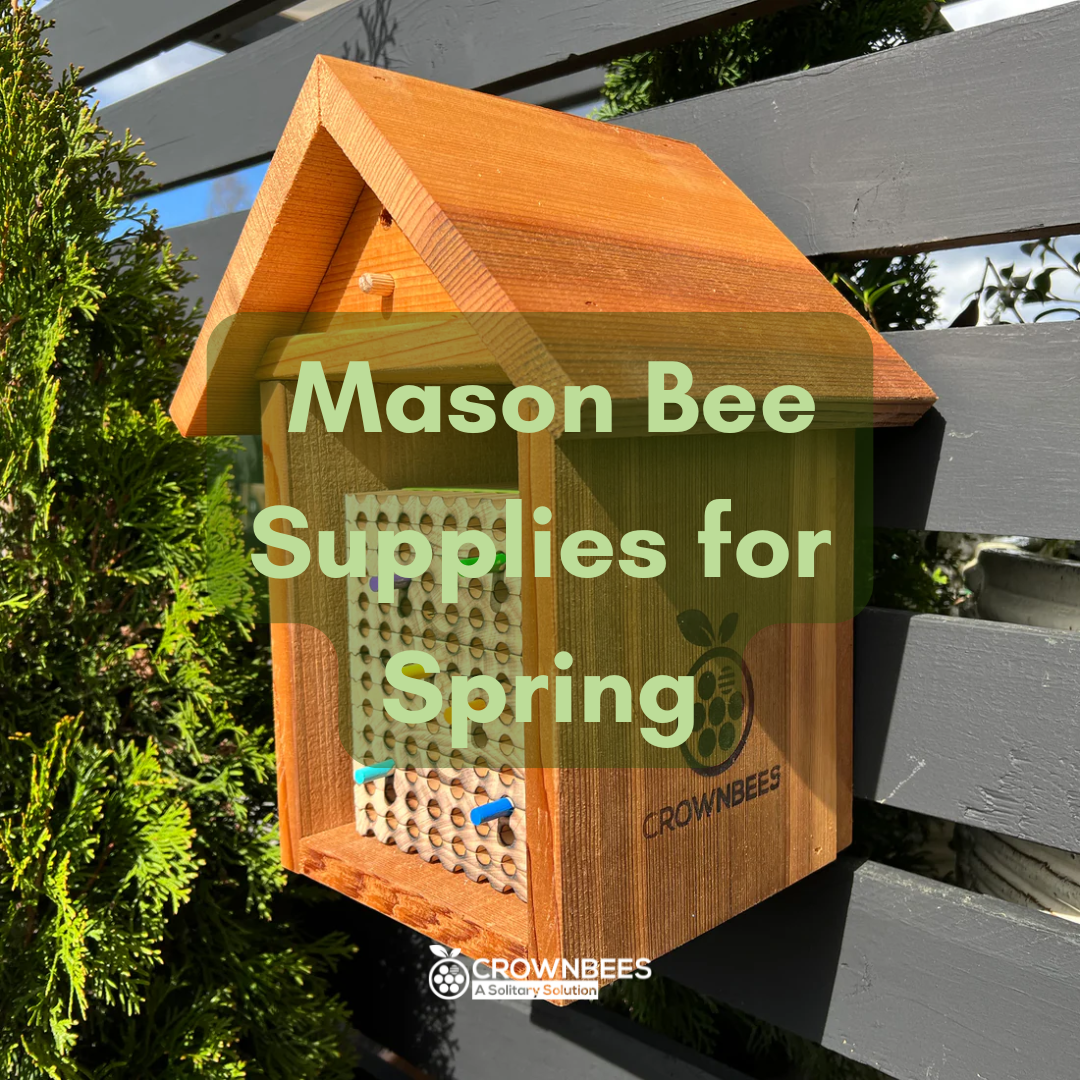Spring Mason Bee Supplies