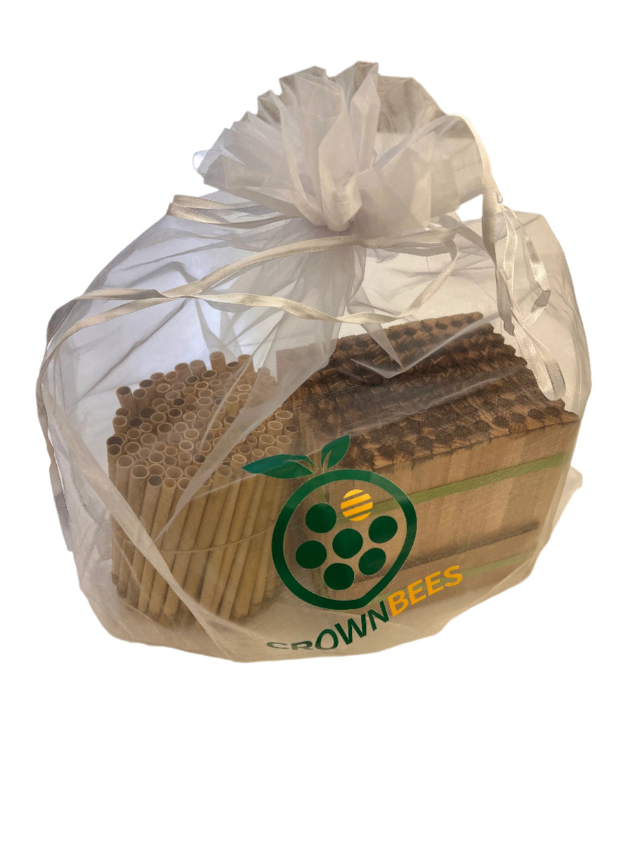 BeeGuard Pest Prevention Bag for Cavity-nesting Bees