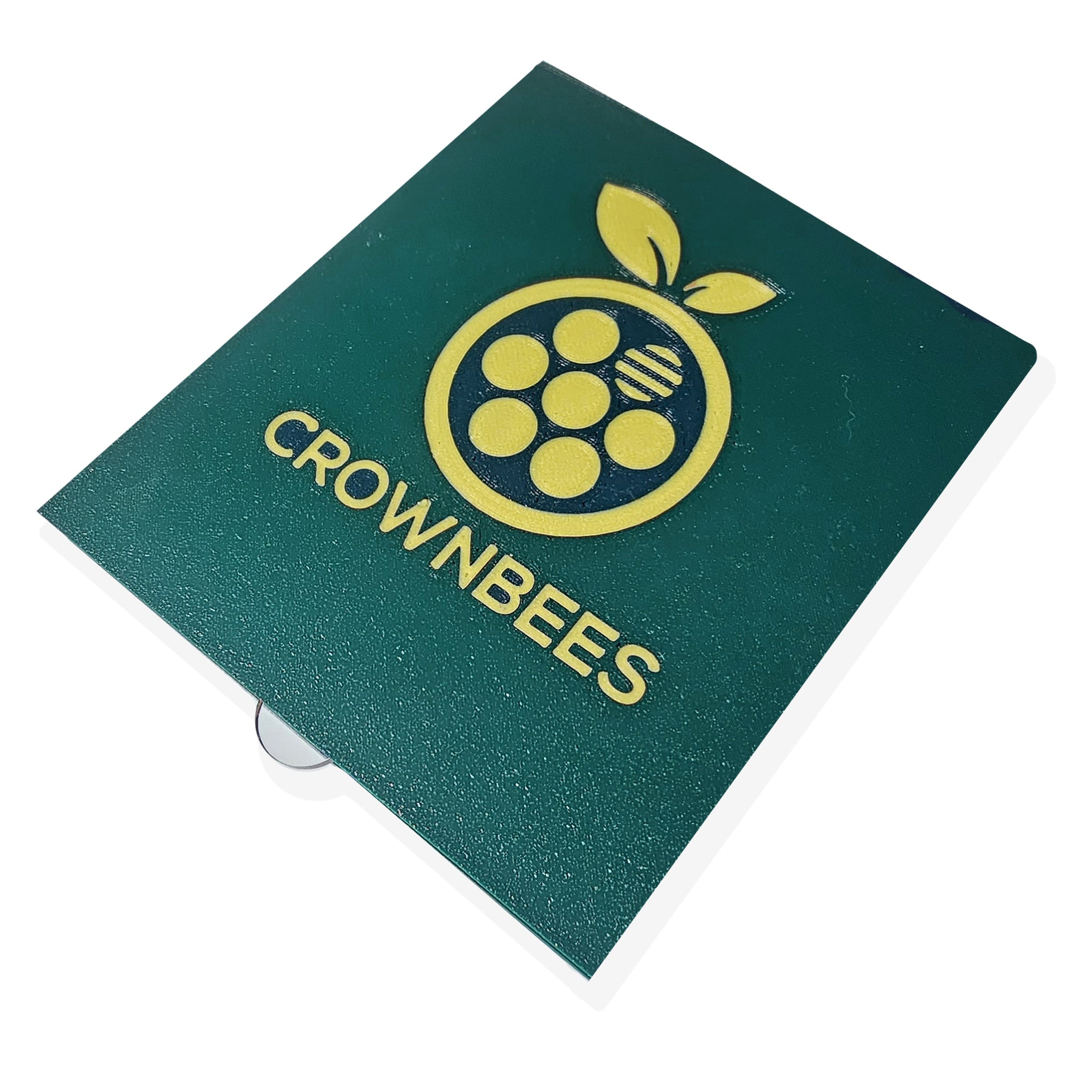 Bee Observer - Solitary Bee Observation Tray