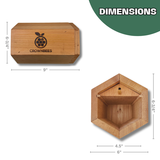 Cabana Bee House Kit with Bees