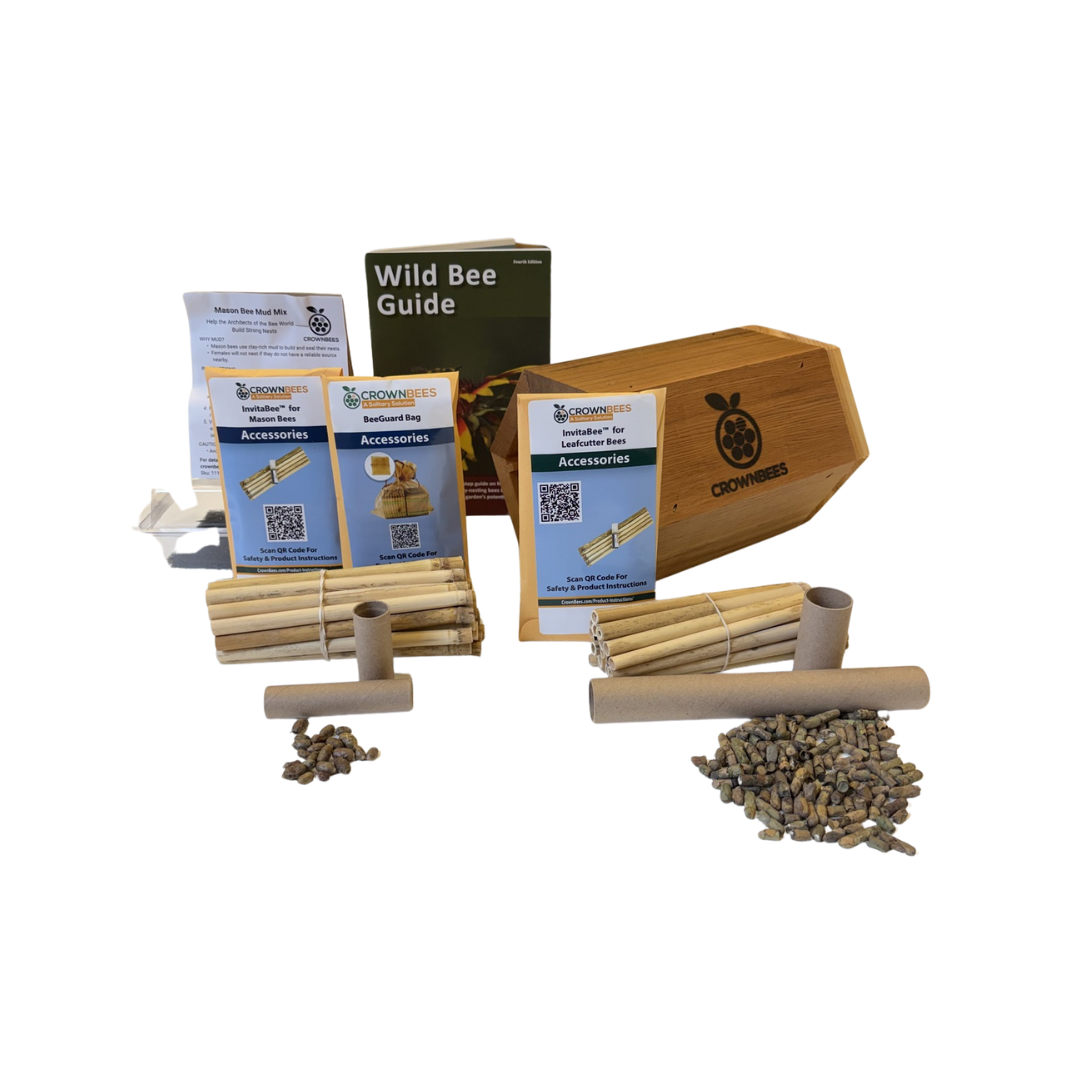 Cabana Bee House Kit with Bees