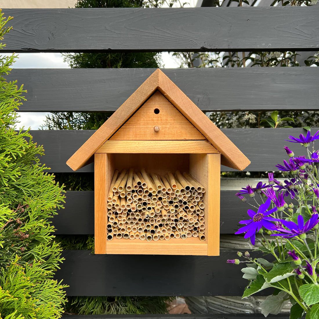 Chalet Bee House Kit with Bees