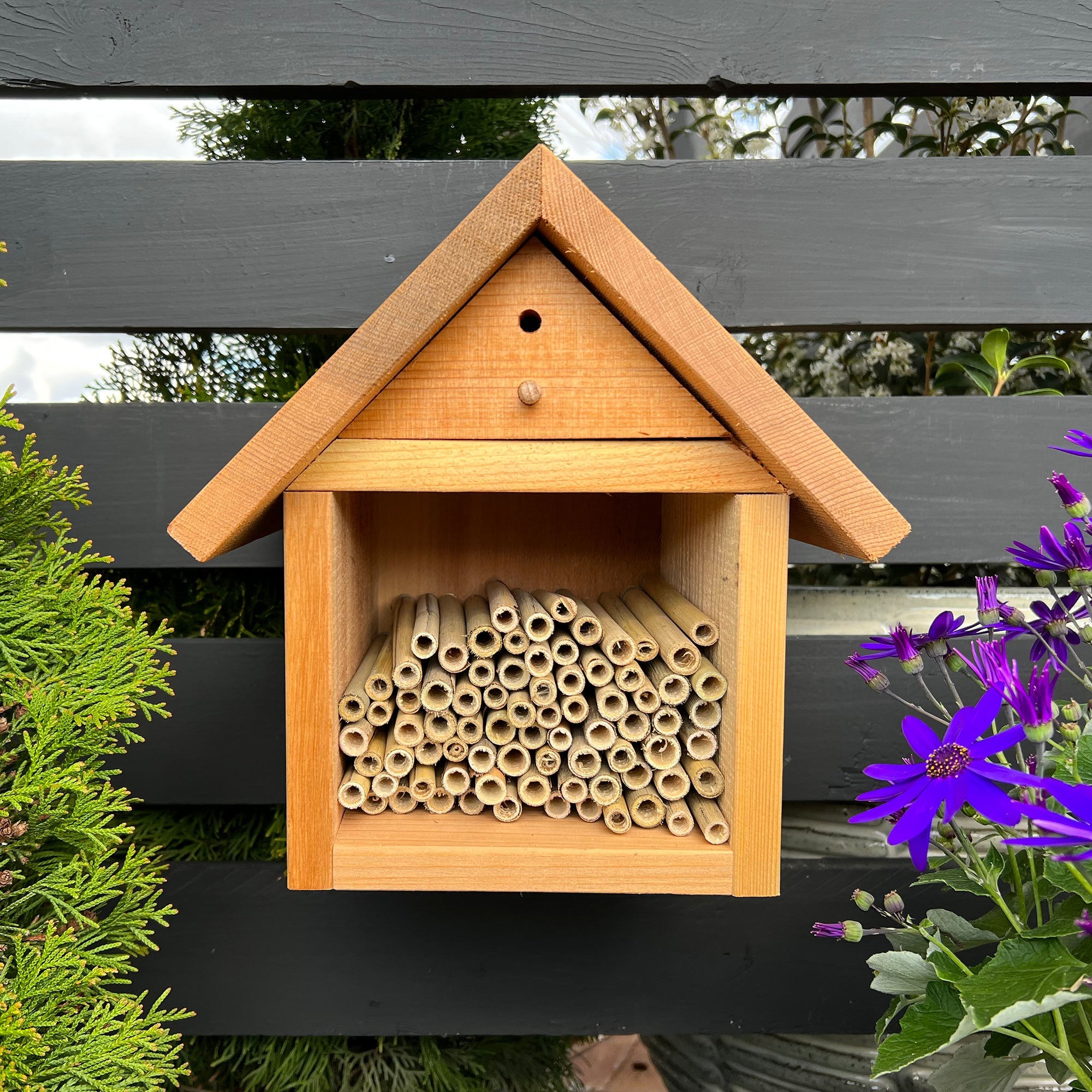 Natural Reeds for Mason Bees | Nesting Materials for Bee Houses