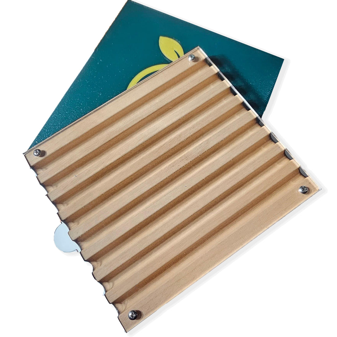 Bee Observer - Solitary Bee Observation Tray