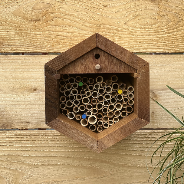 Buy Mason & Leafcutter Bees, Houses & Nesting Materials | Crown Bees