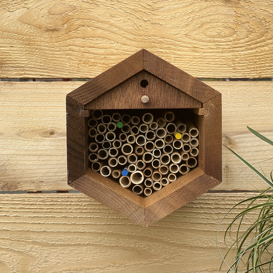 Buy Mason & Leafcutter Bees, Houses & Nesting Materials | Crown Bees