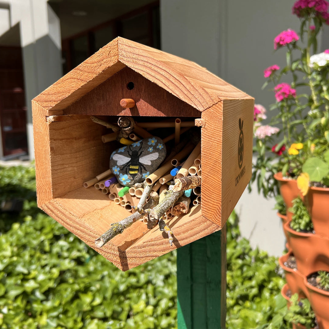 DIY Wild Bee Pollinator Set