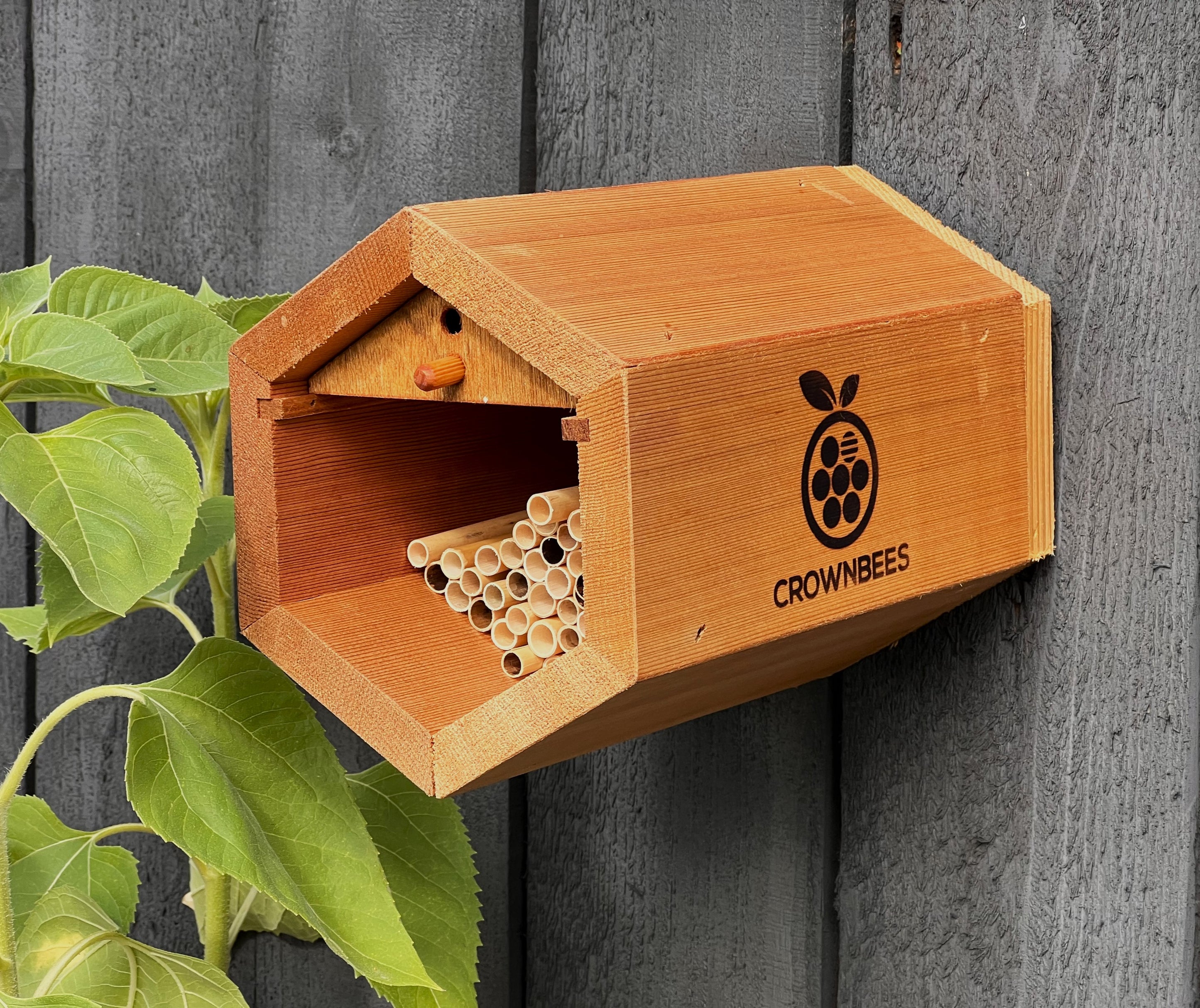 Buy Mason & Leaf Bees, Bee Houses & Kits | Crown Bees Official Site