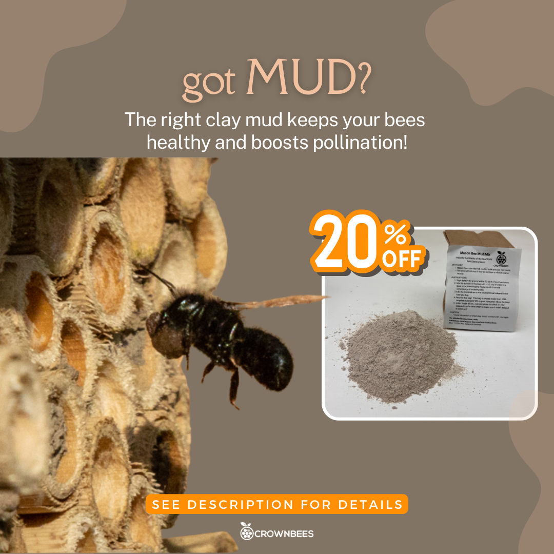 Mason Bee Mud Mix | Beekeeping Essentials