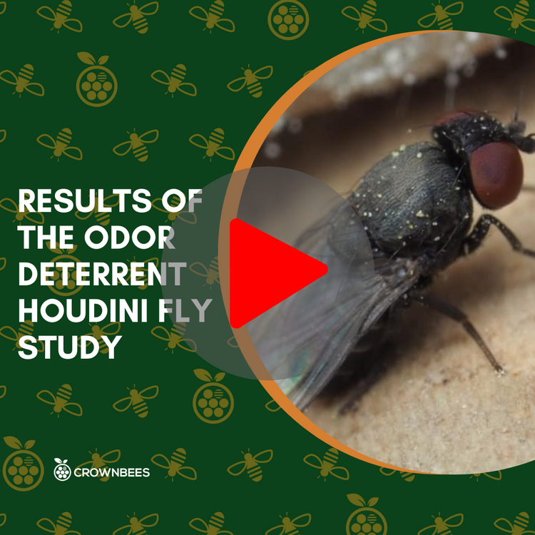 Buy Mason & Leafcutter Bees, Houses & Nesting Materials | Crown Bees