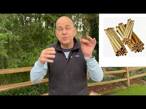 Natural Reeds for Mason Bees | Nesting Materials for Bee Houses