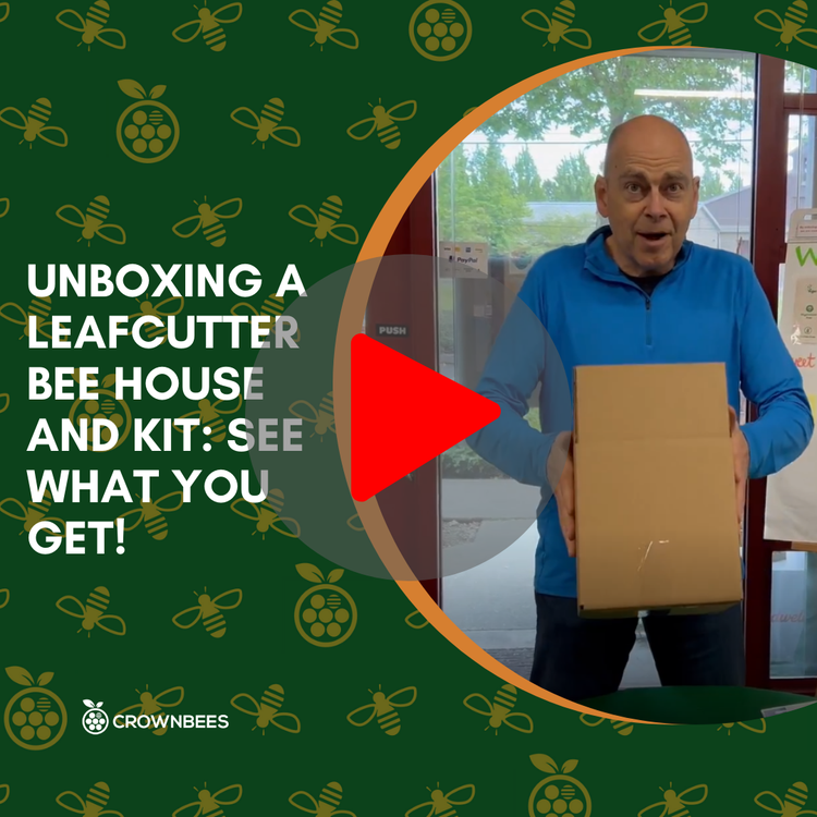 Buy Mason & Leafcutter Bees, Houses & Nesting Materials | Crown Bees