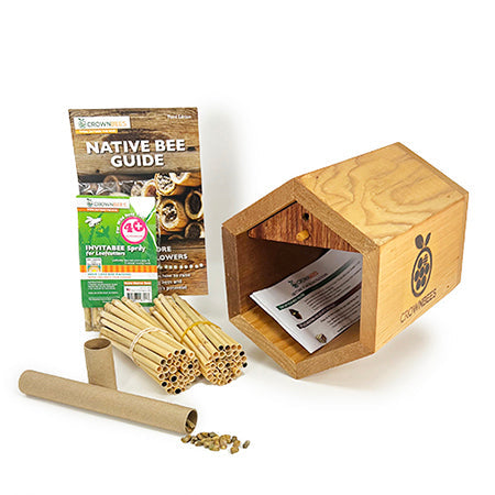 Villa Kits with Bees