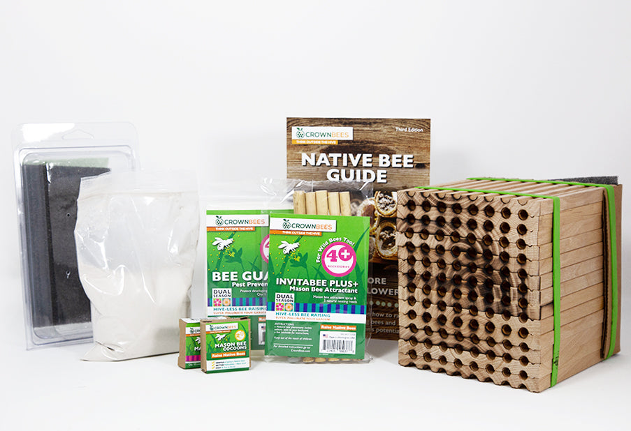 DIY Upgrade Kits with Bees
