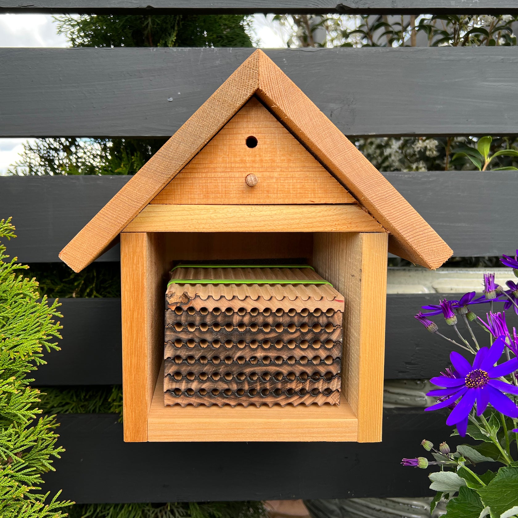 Buy Mason & Leafcutter Bees, Houses & Nesting Materials | Crown Bees