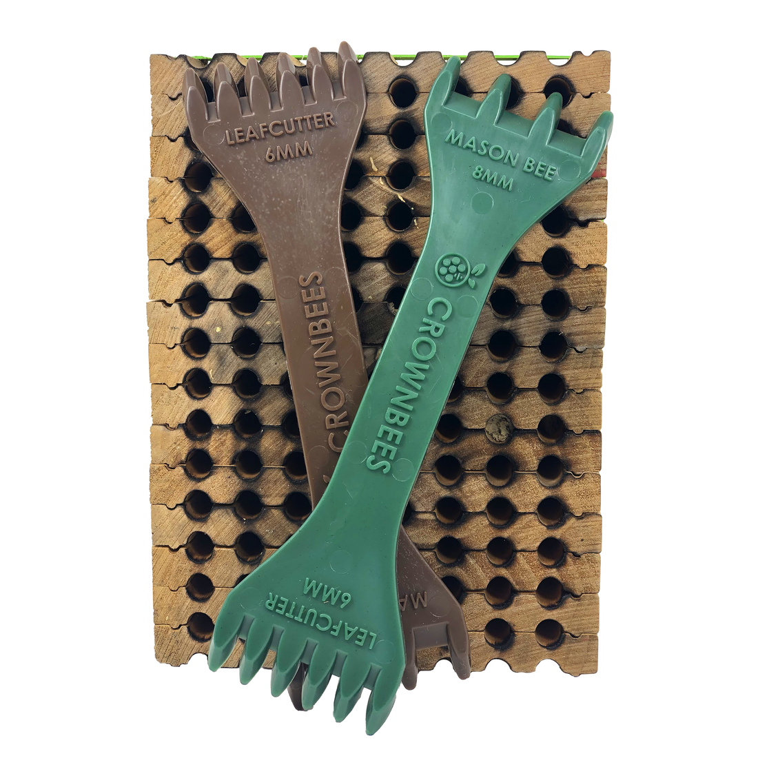 How to Harvest Mason Bee Cocoons